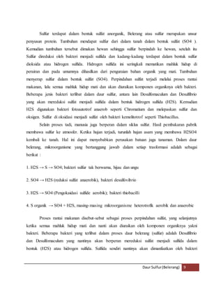 Daur biogeokimia belerang | DOCX