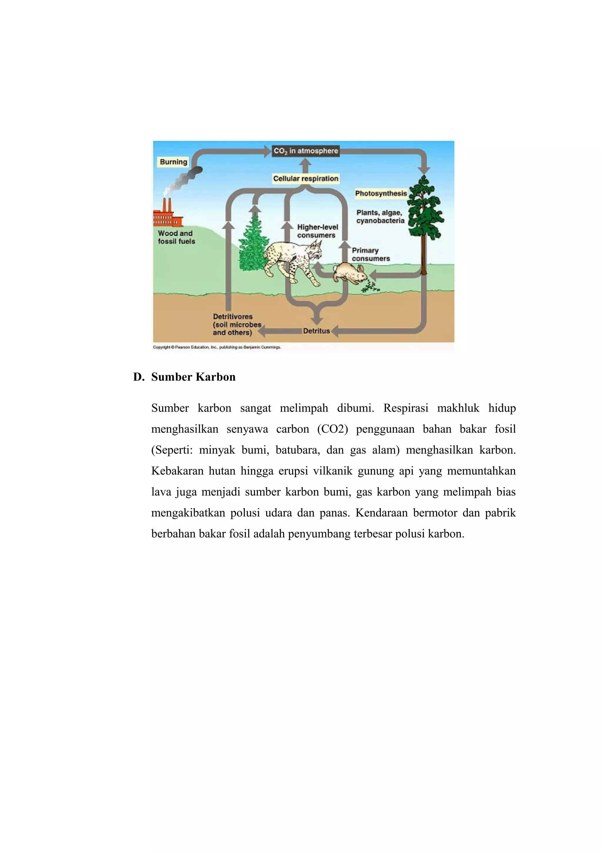 Daur biogeokimia daur carbon | DOC
