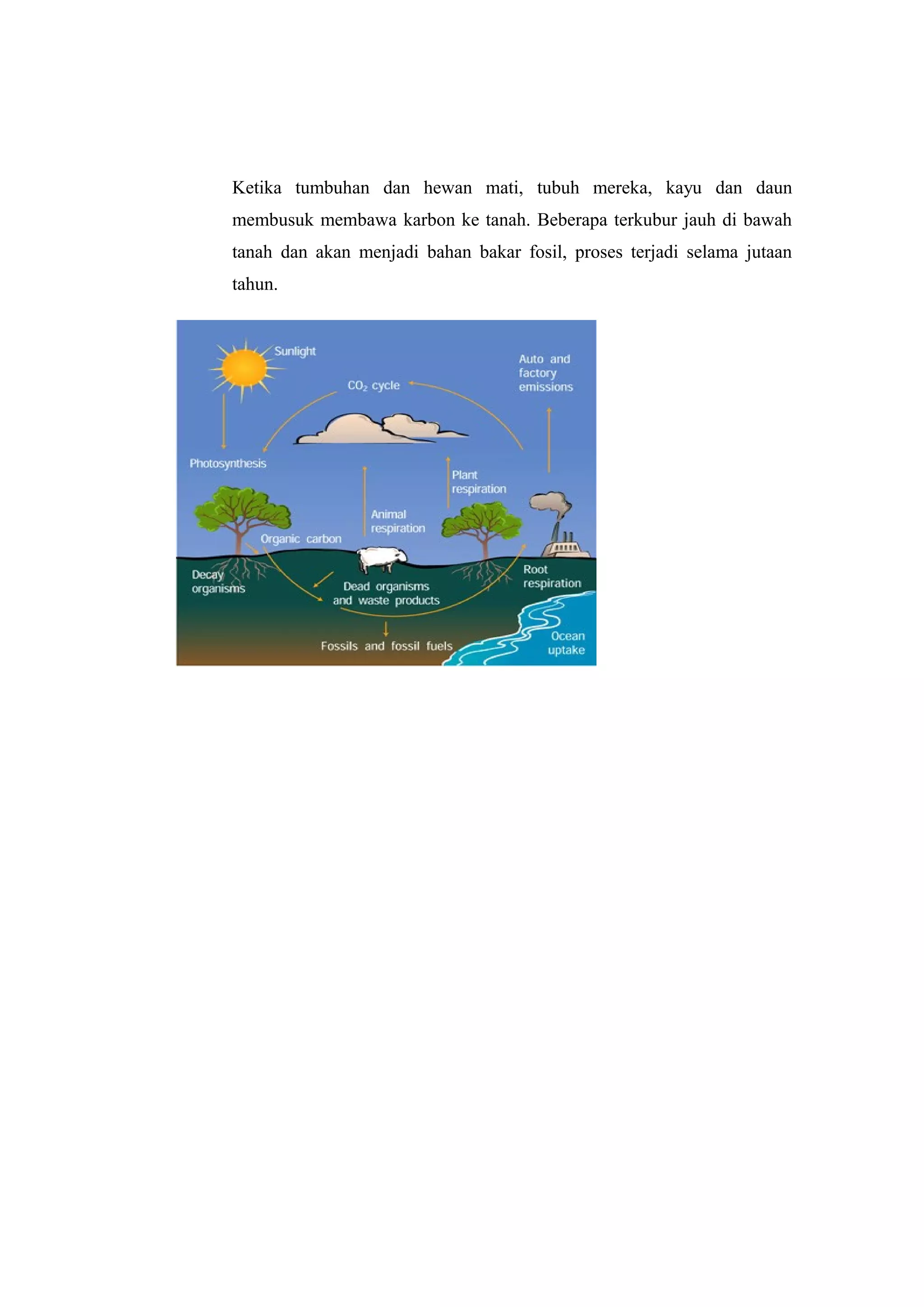 Daur biogeokimia daur carbon | DOC