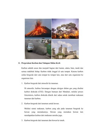 Daur biogeokimia daur carbon | DOC