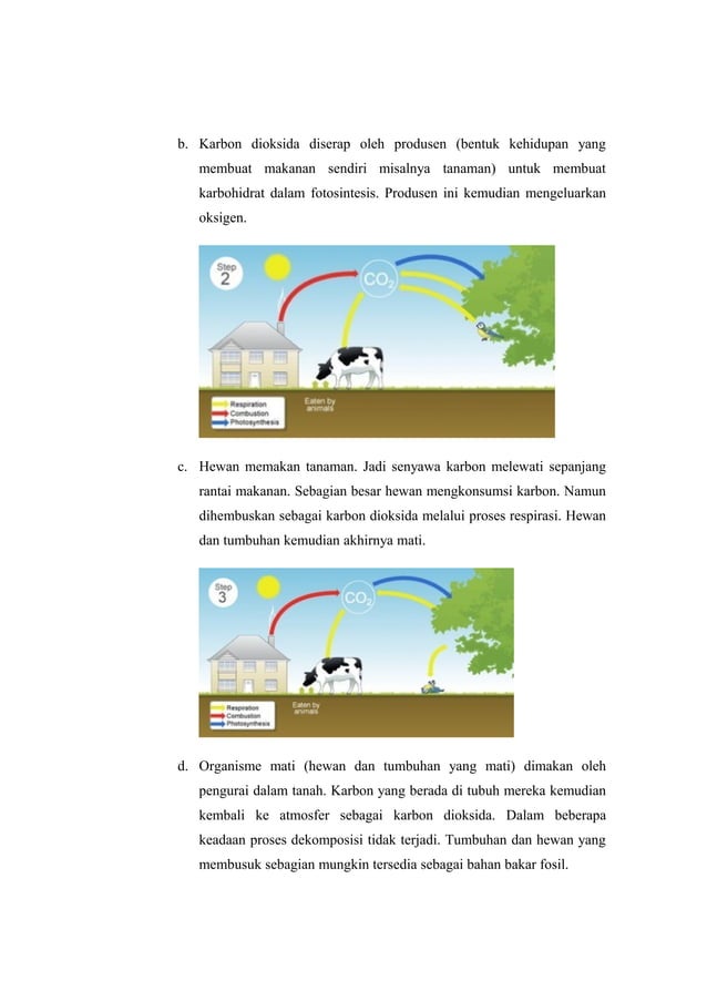 Daur biogeokimia daur carbon | PDF