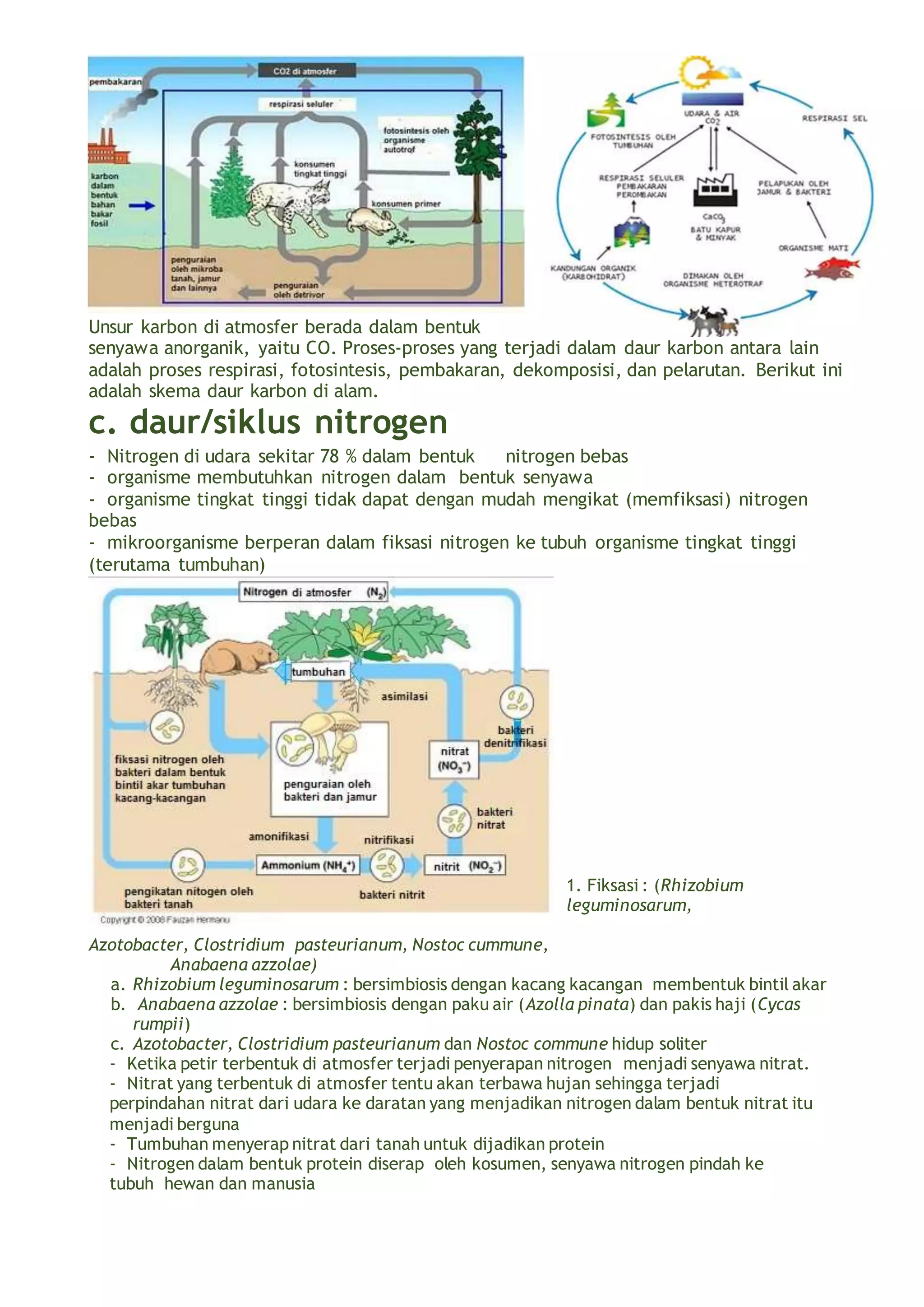 Daur biogeokimia + ekosistem | DOCX