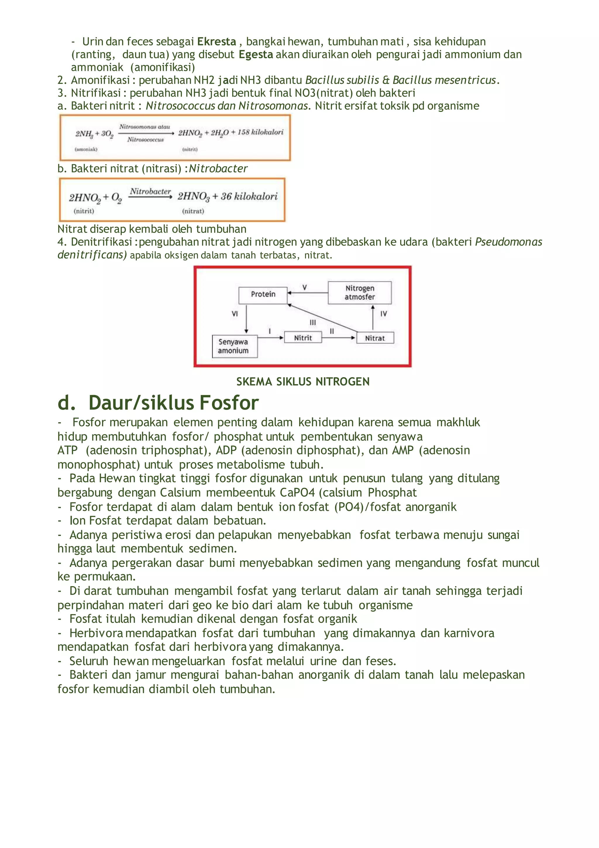 Daur biogeokimia + ekosistem | DOCX