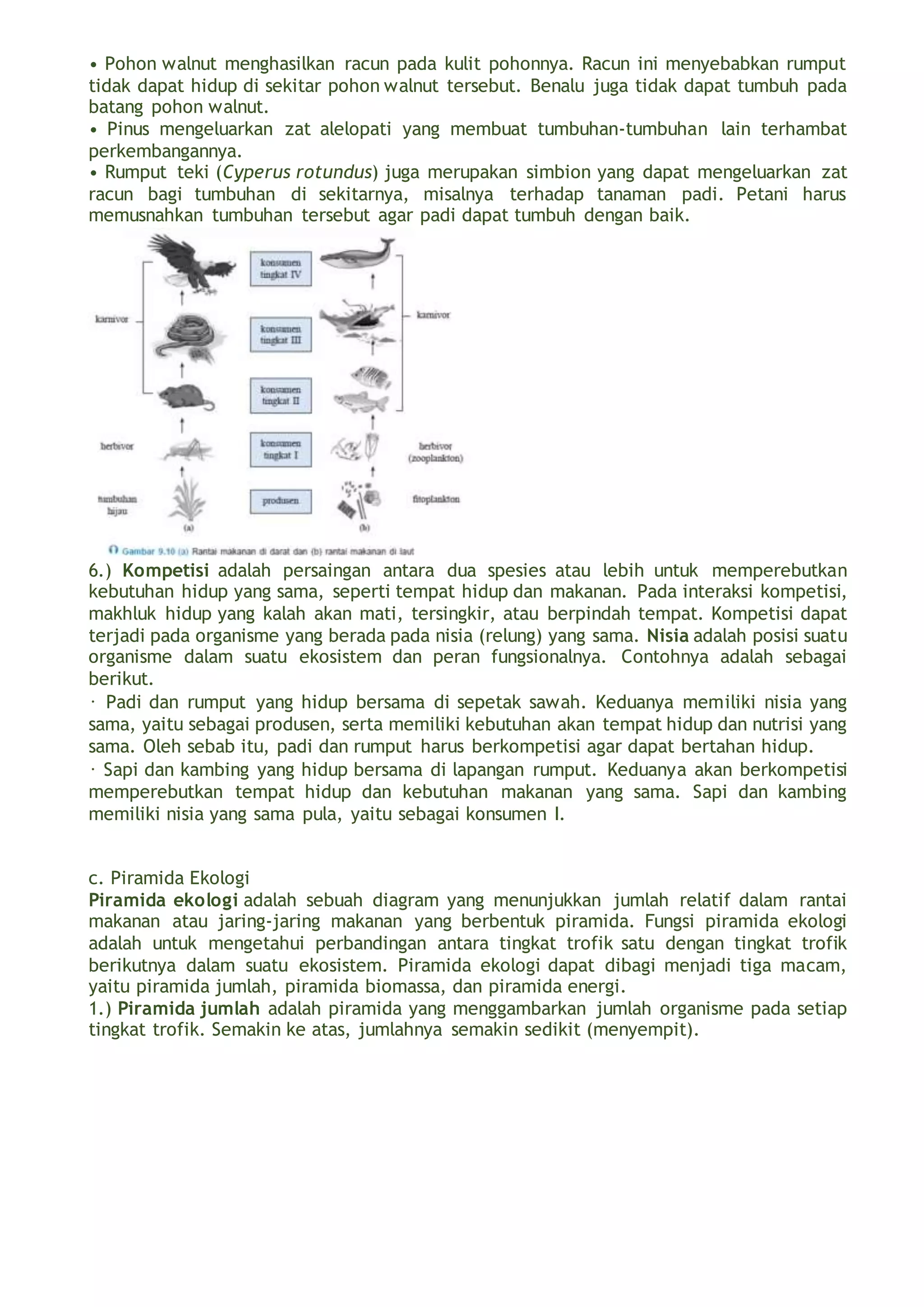 Daur biogeokimia + ekosistem | DOCX
