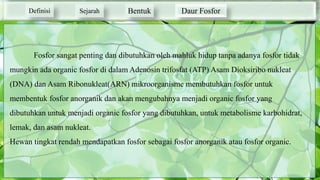 Daur fosfor | PPTX