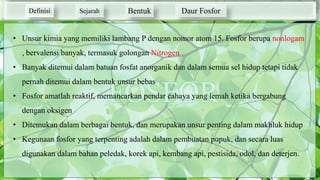 Daur fosfor | PPTX
