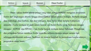 Daur fosfor | PPTX