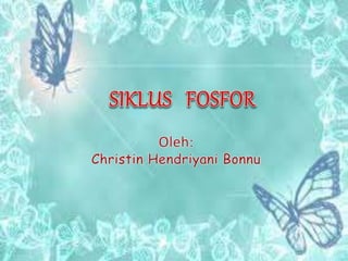 Siklus fosfor | PPTX