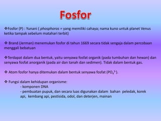 Siklus fosfor | PPTX