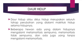 Daur Hidup Hewan dan Tumbuhan Materi Kelas IV | PPTX