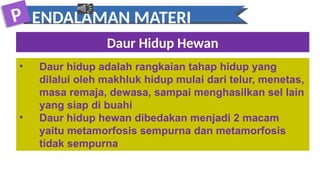 materi IPA kelas 6 tentang daur hidup dan campur.pptx
