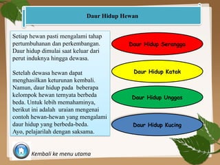 Daur hidup hewanforschoolorcolleges.pptx