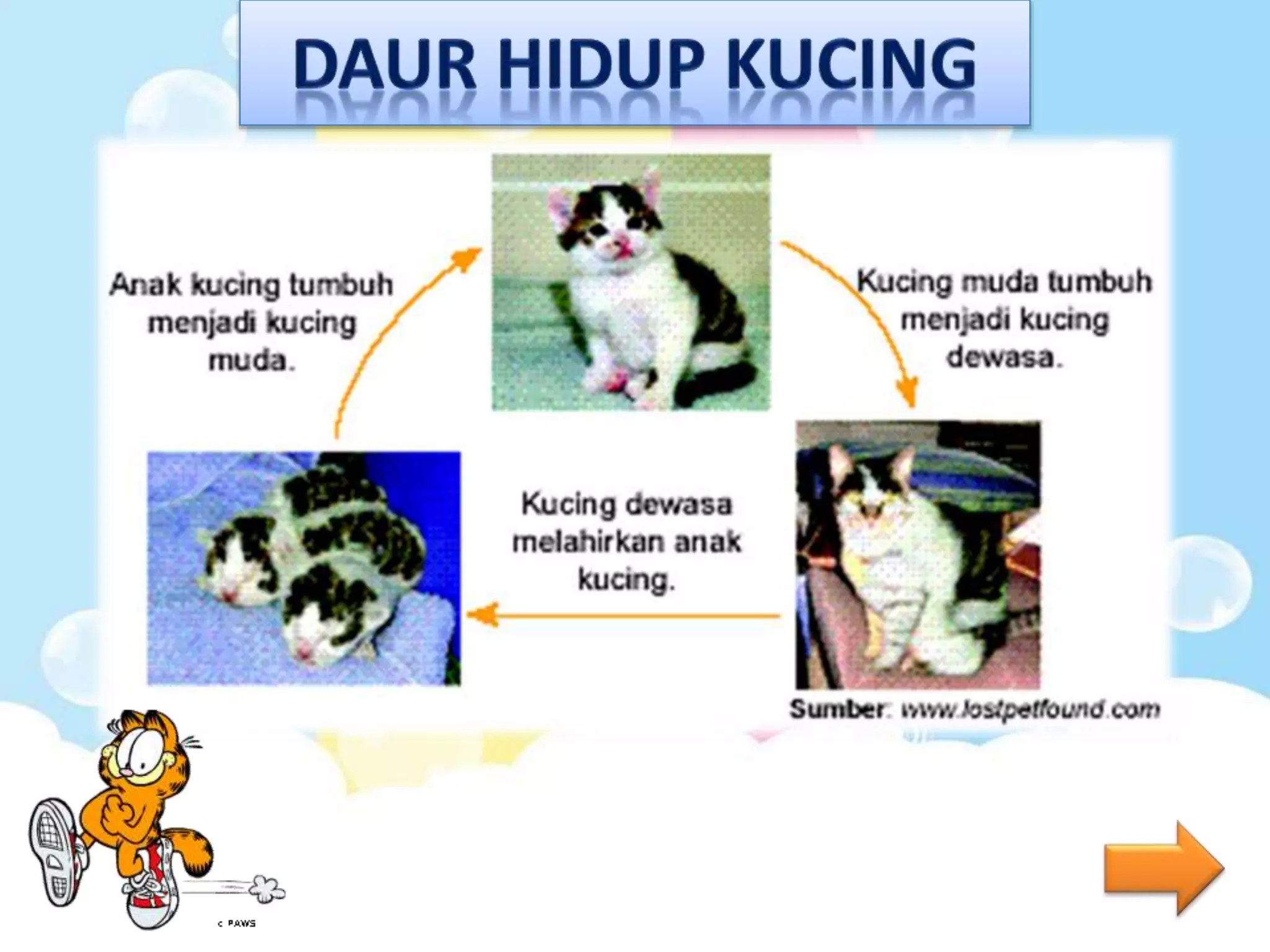 Media Pembelajaran IPA kelas V SD Materi Daur Hidup Hewan | PPTX