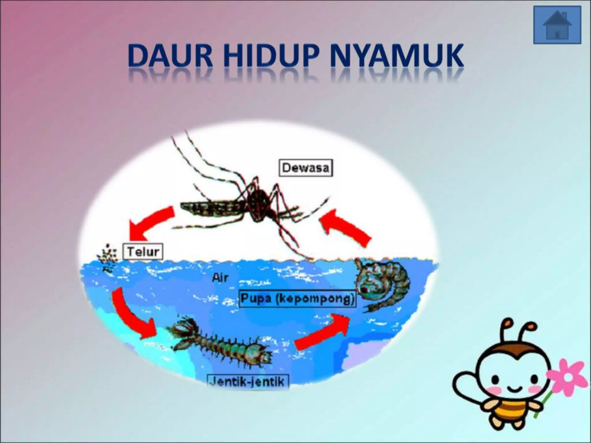 Media Pembelajaran IPA kelas V SD Materi Daur Hidup Hewan | PPTX