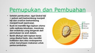 Daur hidup tanaman berbungaforschool.pptx