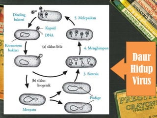 Daur hidup virus | PPTX