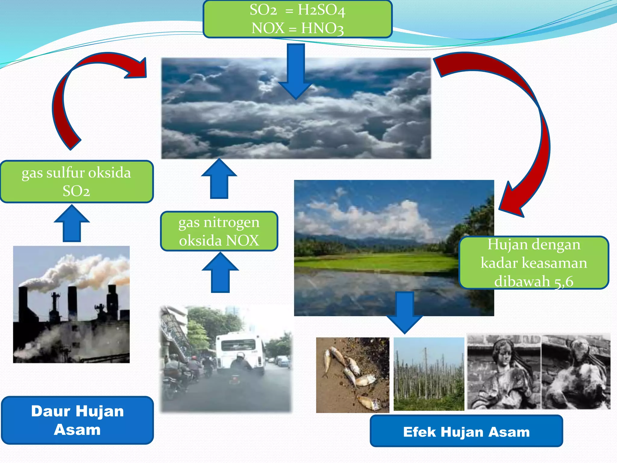 DAUR HUJAN ASAM | PPTX