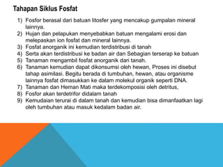 DAUR_KARBON_DAN_OKSIGEN_siklus_dunia.pptx