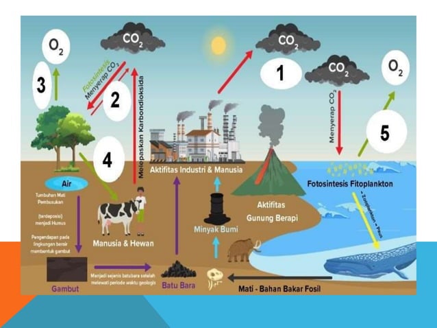 DAUR_KARBON_DAN_OKSIGEN_siklus_dunia.pptx