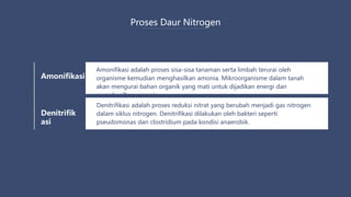 Daur Nitrogen-WPS Office.pptx