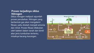 Daur Nitrogen-WPS Office.pptx