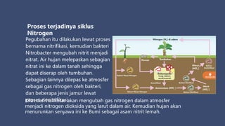 Daur Nitrogen-WPS Office.pptx