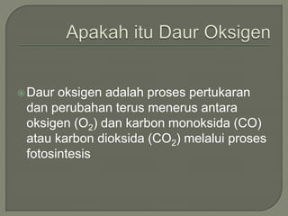 Daur oksigen | PPTX