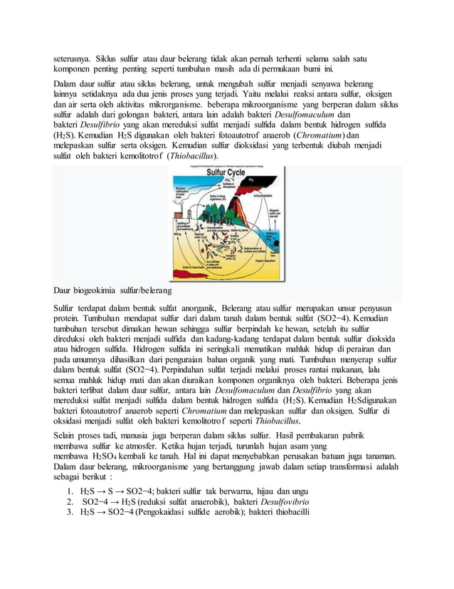 Daur oksigen | PDF