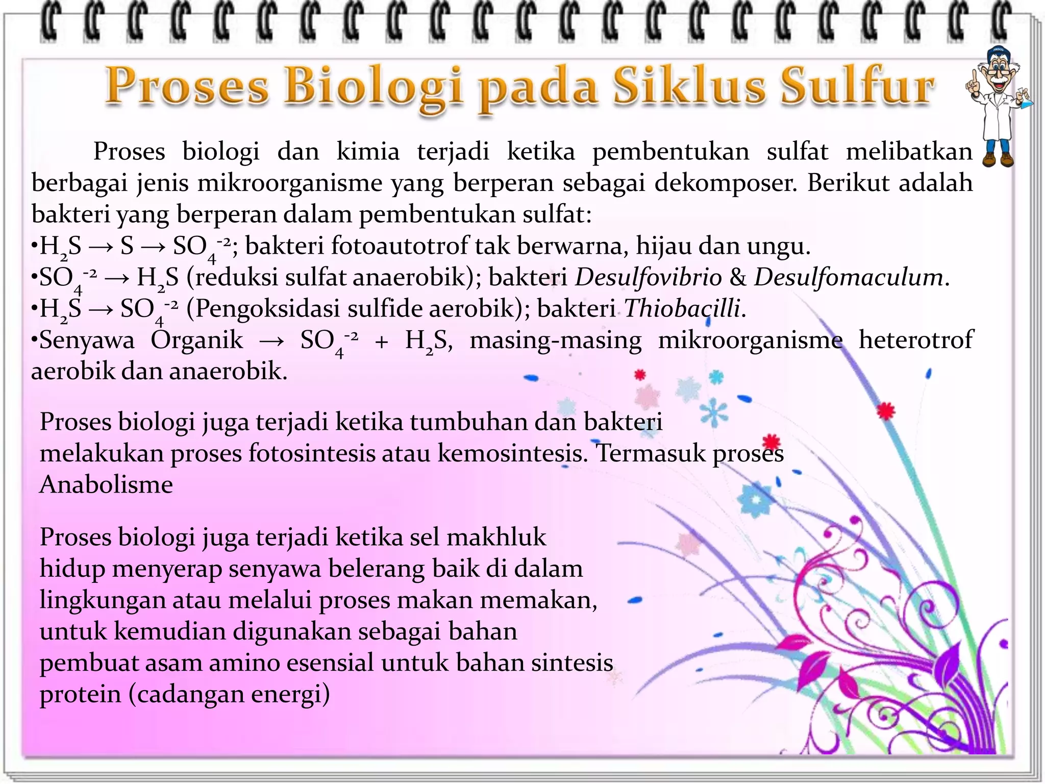 Daur sulfur.ppt