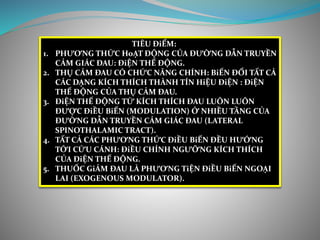 Dau va Thuoc giam dau.pptx