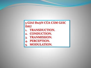 Dau va Thuoc giam dau.pptx