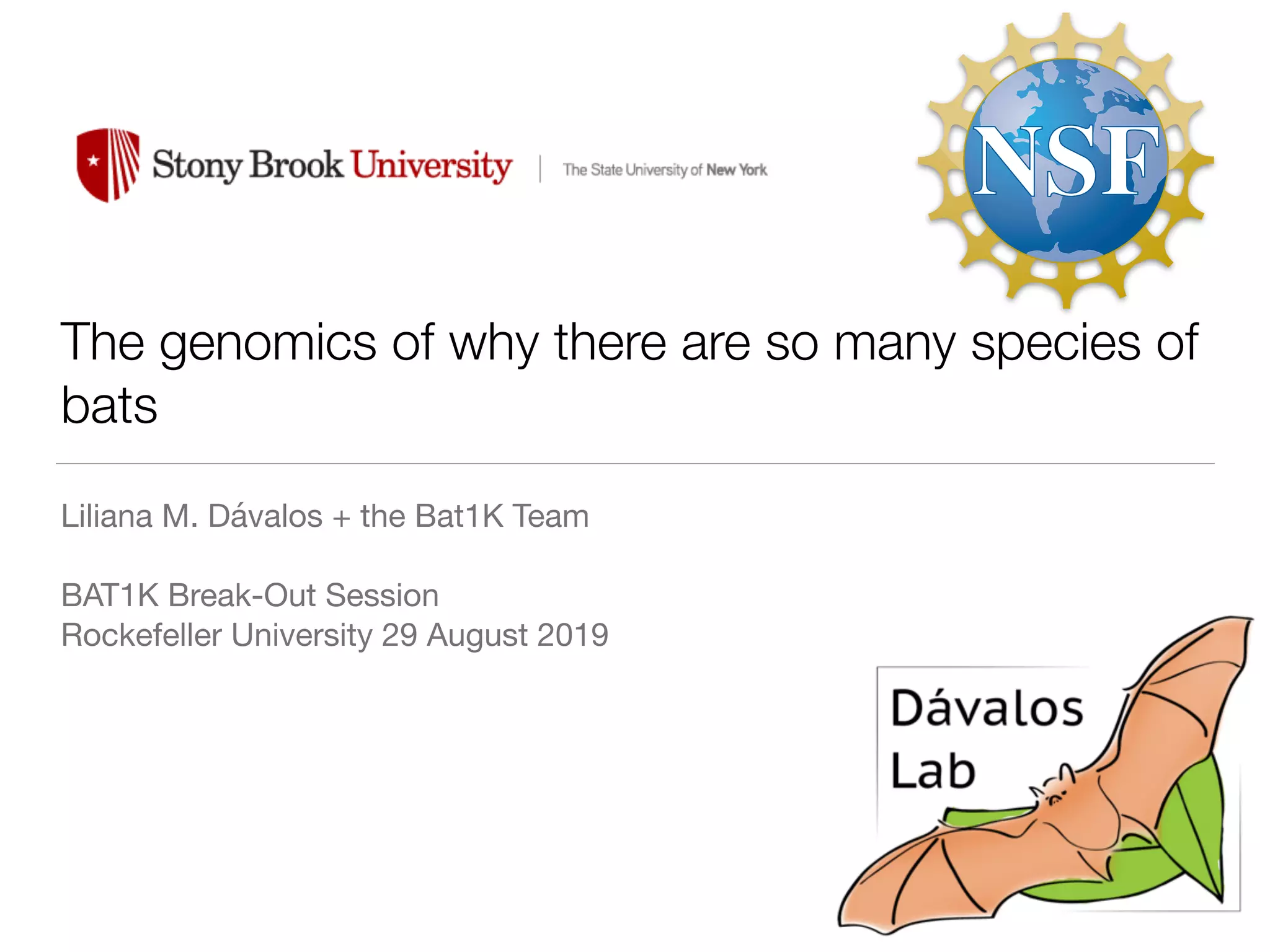 The genomics of why there are so many species of bats | PPT