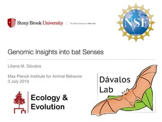 Genomic Insights into bat Senses | PDF