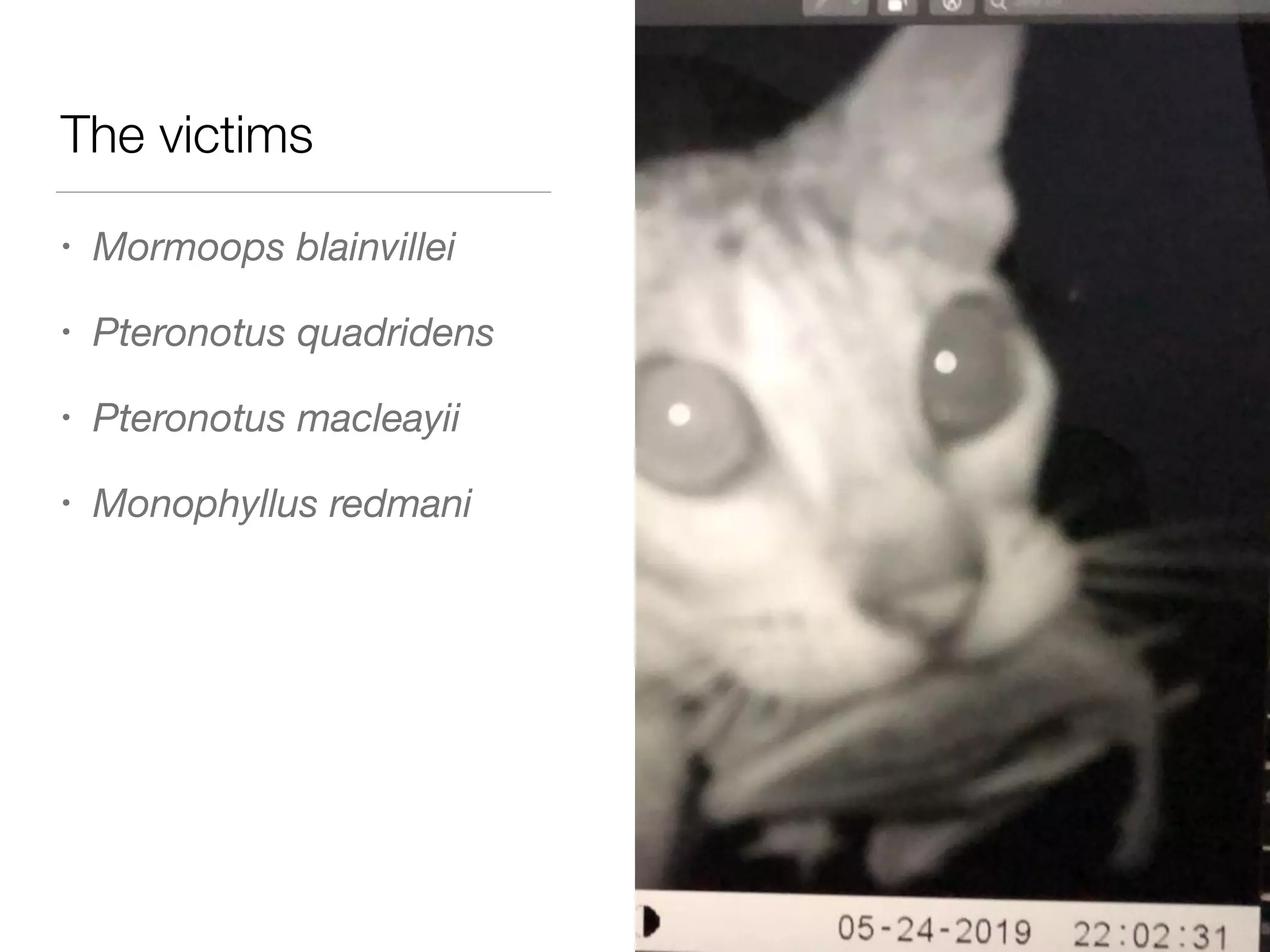 Labs without Borders: Methods for Extracting, Amplifying, and Sequencing in the Field | PPT