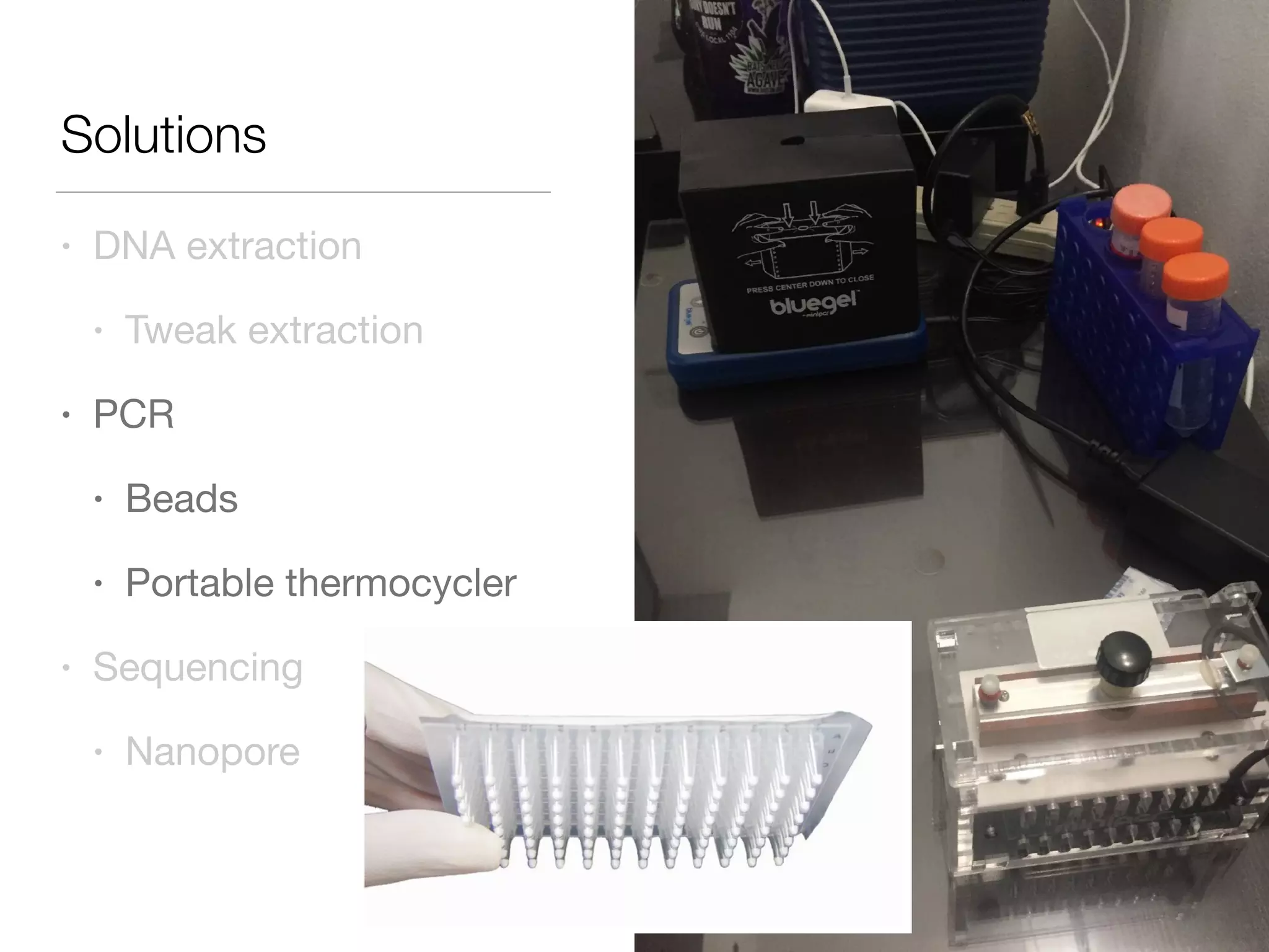 Labs without Borders: Methods for Extracting, Amplifying, and Sequencing in the Field | PPT