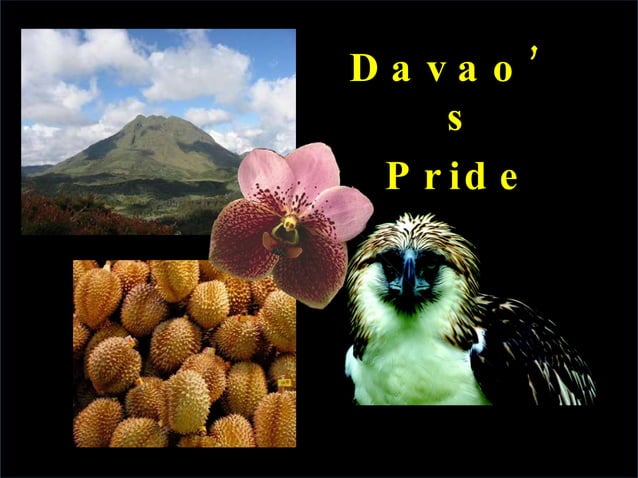 SFC ICON Davao Tours | PPT