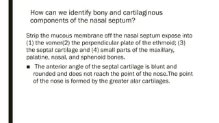 ANATOMY of the bone and nasal cavity anatomy | PPTX