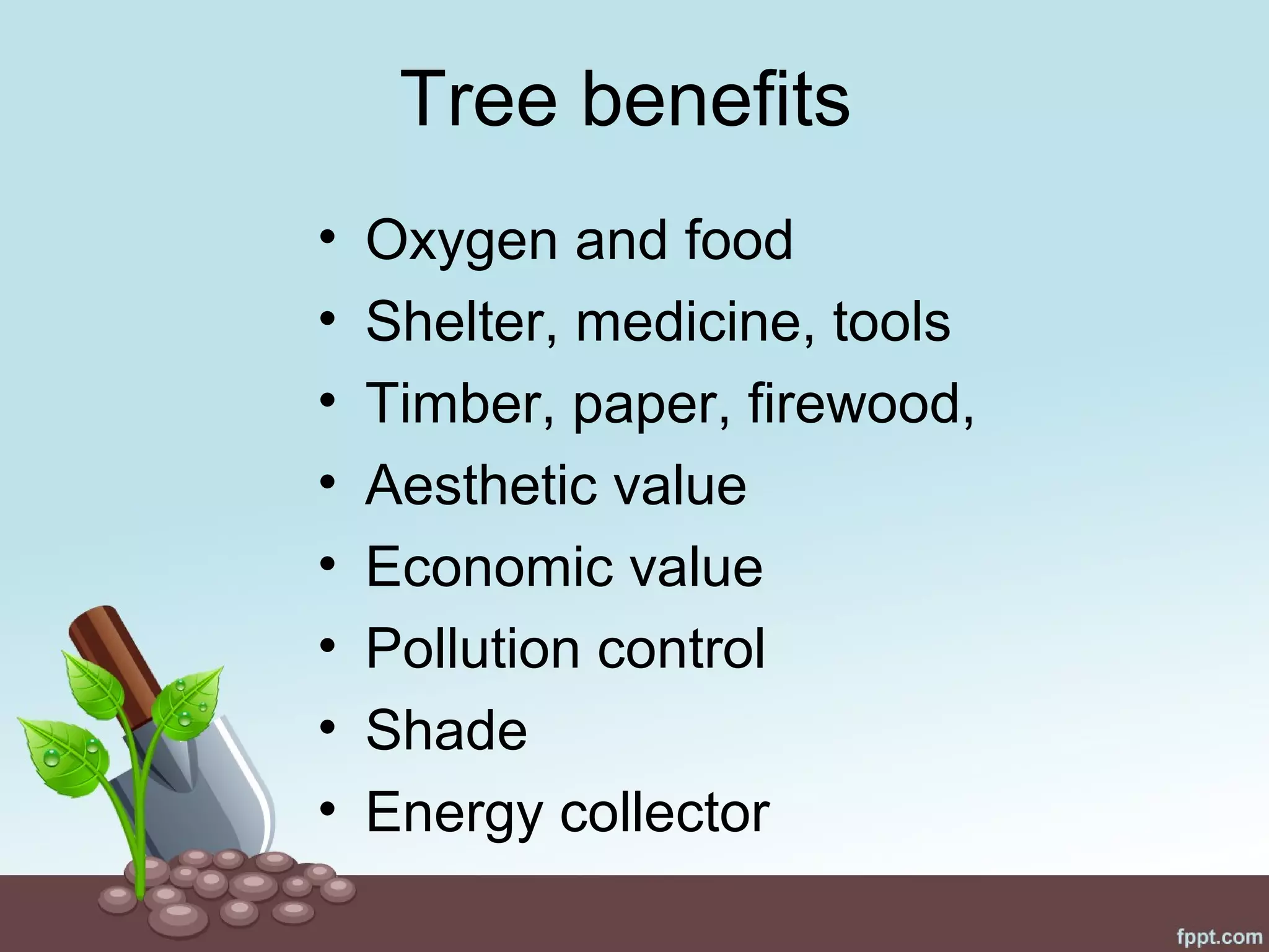The Importance of Growing Trees | PPT