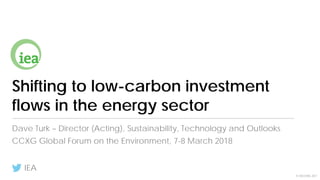 CCXG Global Forum March 2018 Shifting to low-carbon investment flows in ...