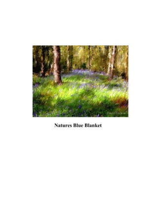 David Cochran Fine Artist | PDF