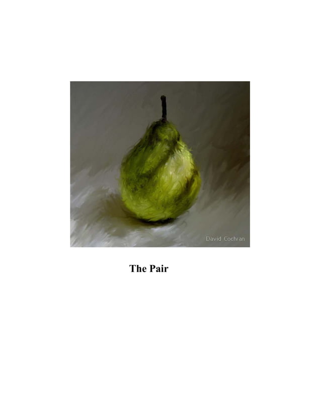 David Cochran Fine Artist | PDF