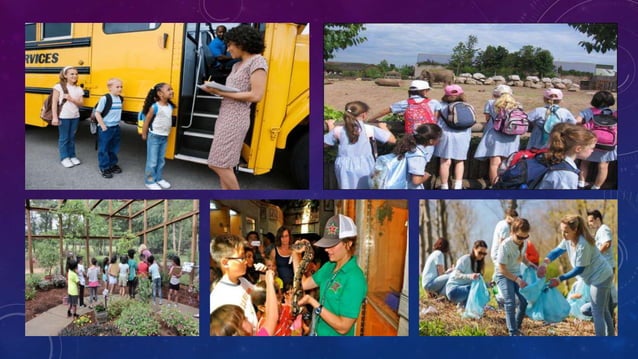 ECOLITERACY.pptx | Environment | Science