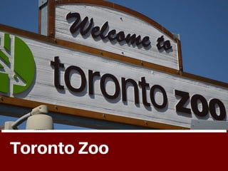 Visit Toronto - David Harris | PDF