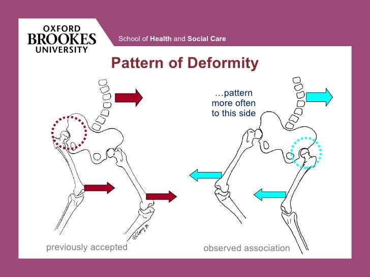 Routes into Research: Dr David Porter