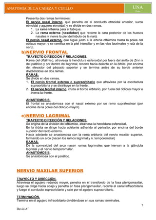 NERVIOS DE LA CABEZA Y EL CUELLO | PDF