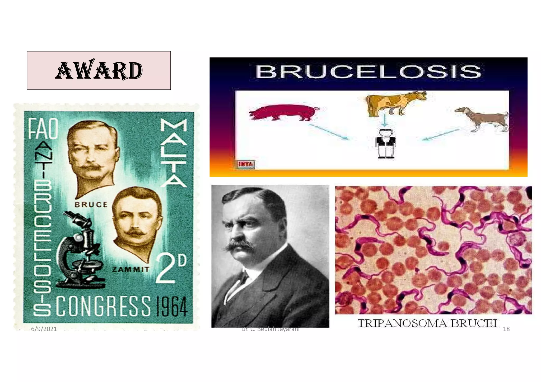 David bruce (microbiologist) | PDF