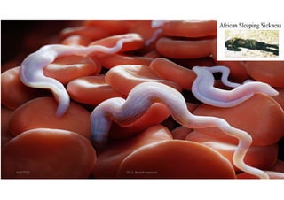 David bruce (microbiologist) | PDF