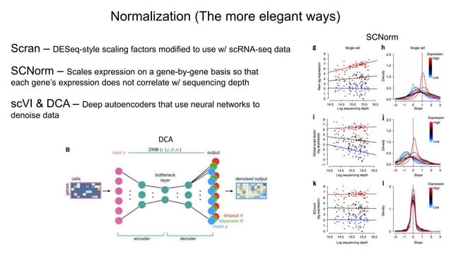 scRNA-Seq Workshop Presentation - Stem Cell Network 2018 | PPT