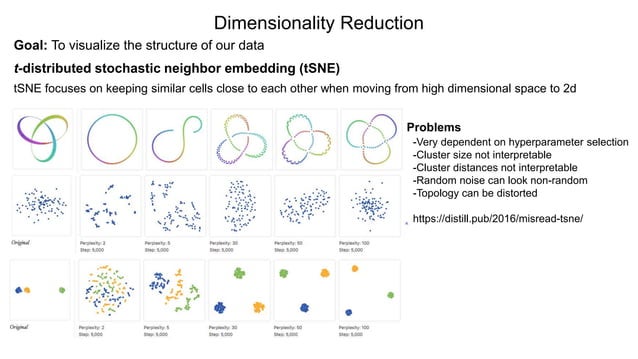 scRNA-Seq Workshop Presentation - Stem Cell Network 2018 | PPT