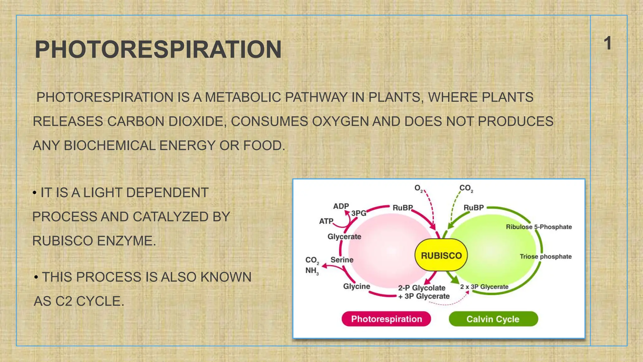 Photorespiration & functioning of Rubisco enzyme | PPTX